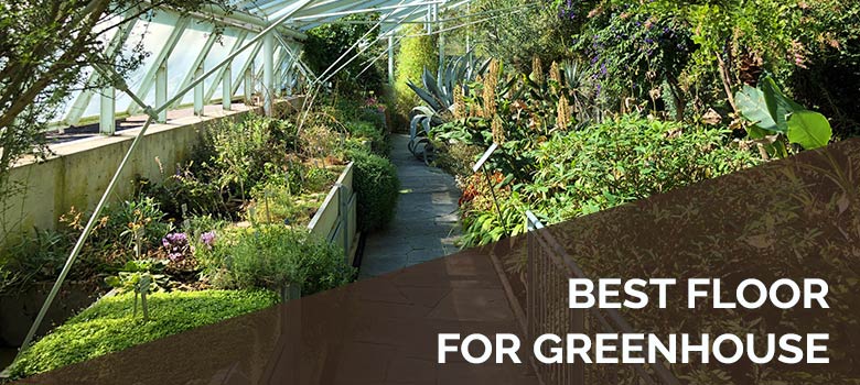 Best Floor For Greenhouse - Which One Is Best?